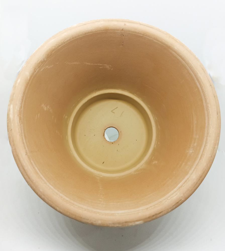 Terrariums - BEGONIASYMAS.COM